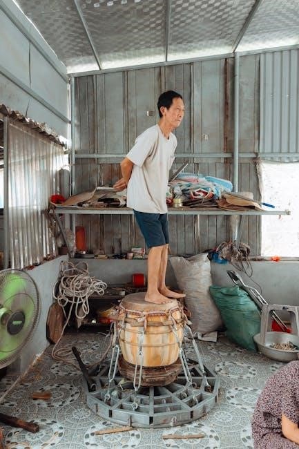 LiftMaster SL585 Manual: Installation & Troubleshooting Guide